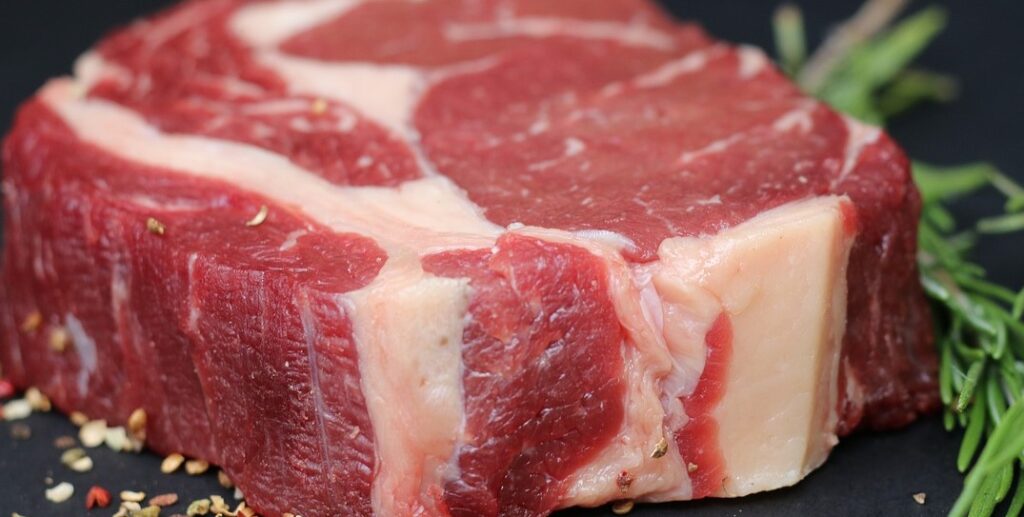 Dieta carnívora: O que faz à sua saúde comer apenas carne