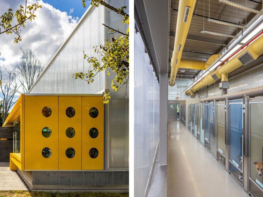 Edificios De Abrigo De Animais Dentro