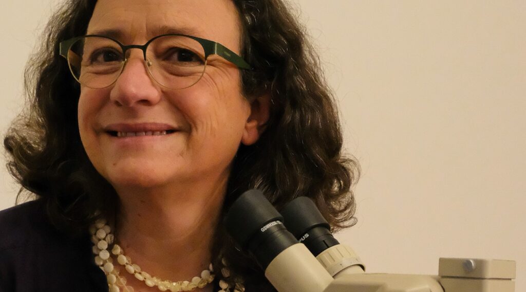 Investigadora diz que medidas para erradicar 'Xylella fastidiosa' "não ...