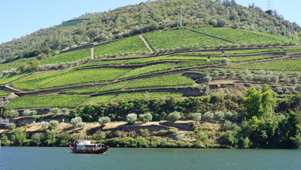 PCP propõe compra de 15 mil pipas pelo Estado para atenuar crise ...